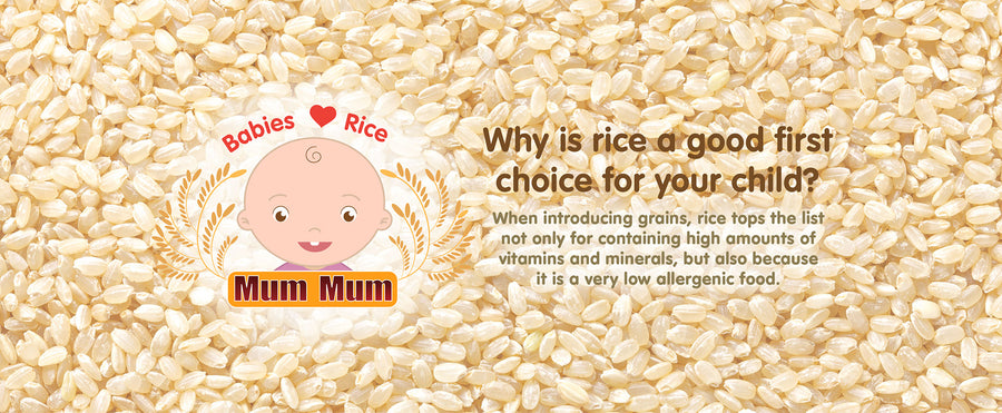 Baby Mum-Mum Online Store – The Mum-Mum Store